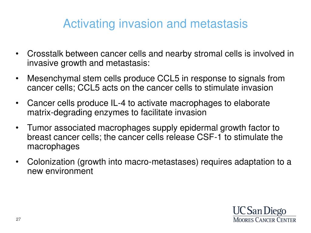 PPT - The Biology of Cancer PowerPoint Presentation, free download - ID ...