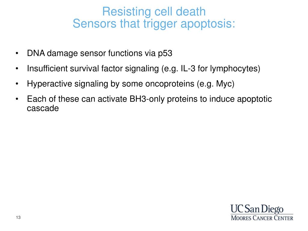 PPT - The Biology of Cancer PowerPoint Presentation, free download - ID ...