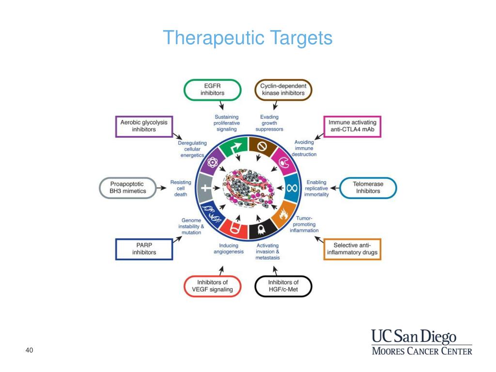 PPT - The Biology of Cancer PowerPoint Presentation, free download - ID ...