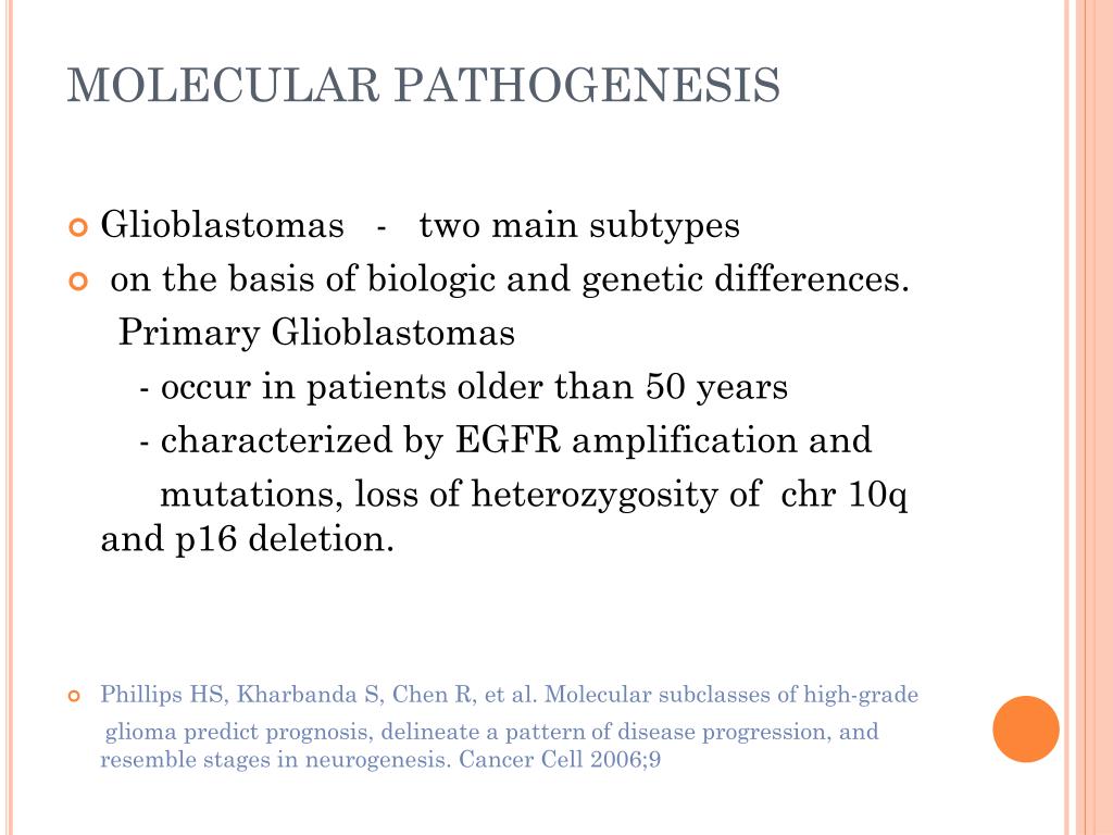 PPT - High grade gliomas diagnosis management and controversies ...