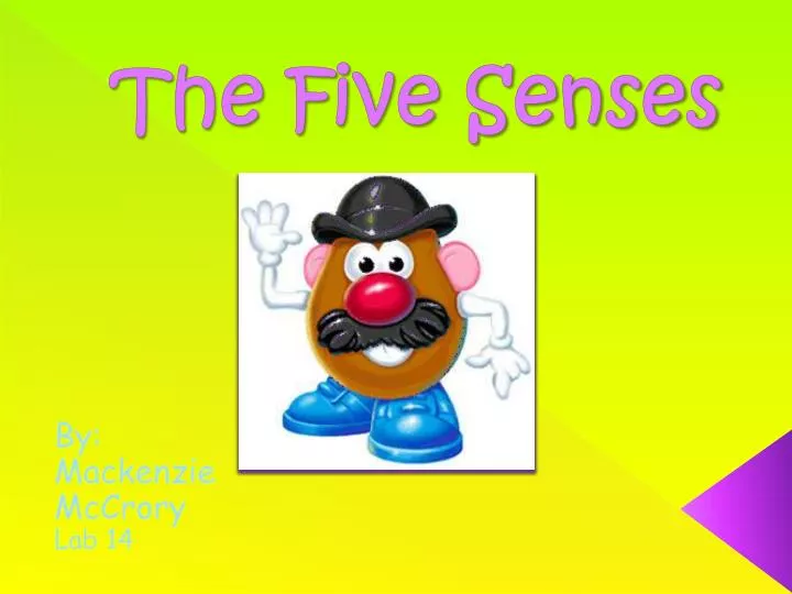 PPT - The Five Senses PowerPoint Presentation, free download - ID:1857233