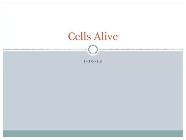 PPT - Cells Alive PowerPoint Presentation, free download - ID:1857849