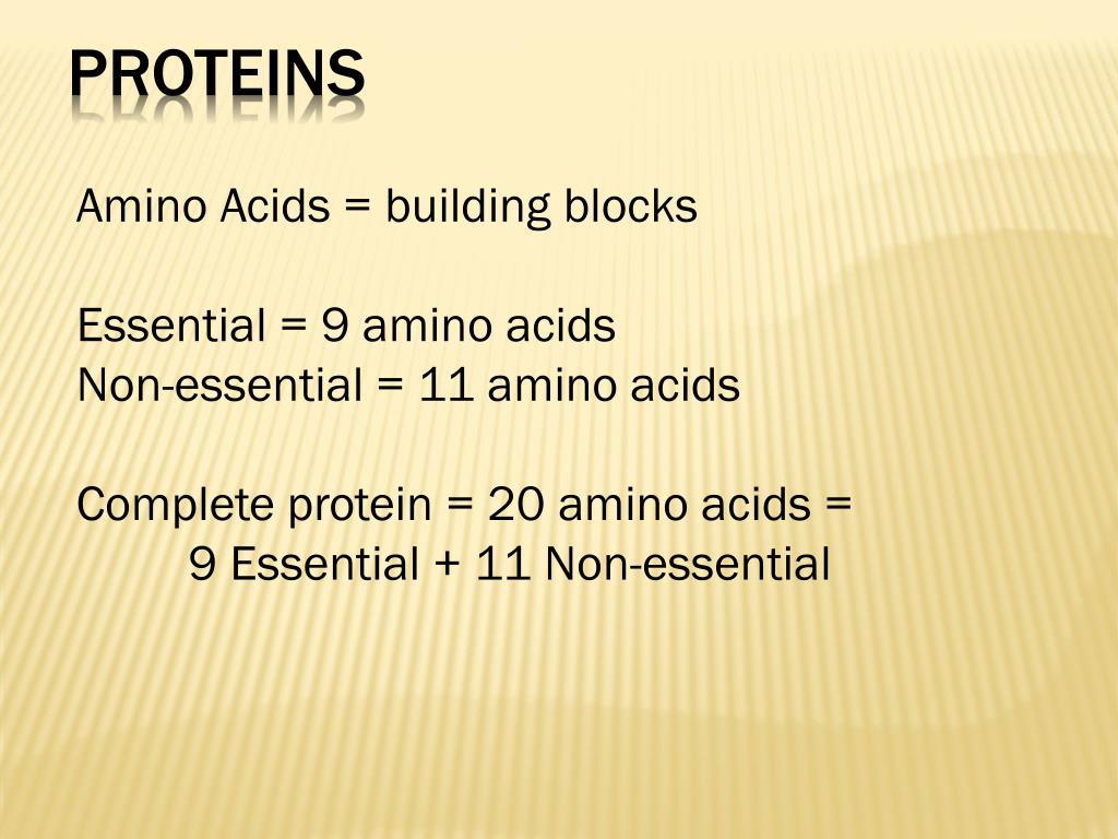 PPT - Essential Nutrients Carbohydrates Fat Protein Vitamins Minerals ...