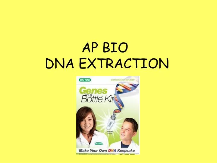 PPT - AP BIO DNA EXTRACTION PowerPoint Presentation, free download - ID ...