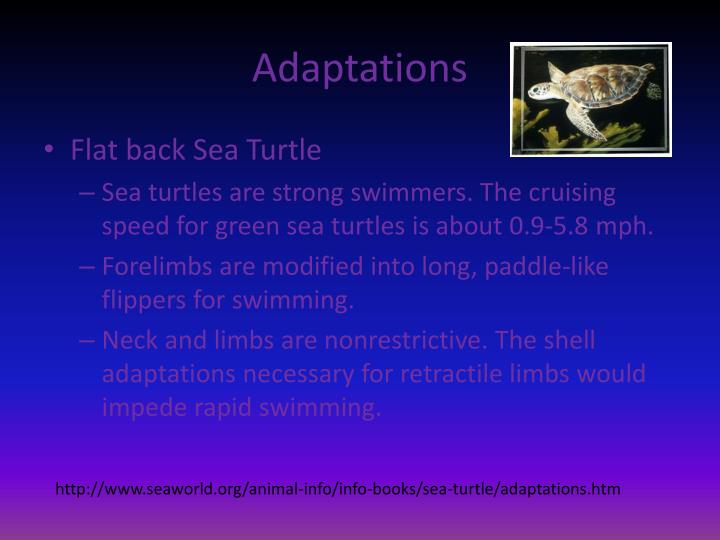 PPT - Southwest Pacific Marine Biome PowerPoint Presentation - ID:1857948