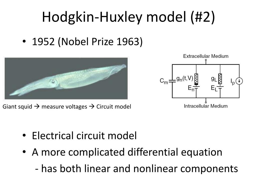 Ppt Introduction To Modeling And Computational Neuroscience Using Python Powerpoint