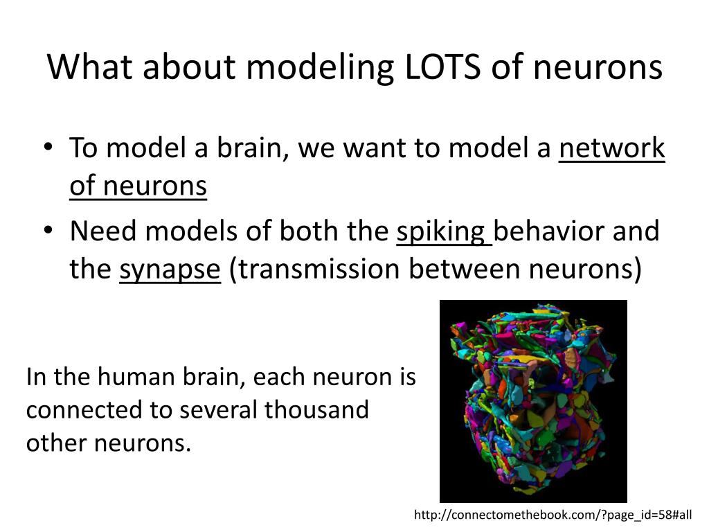 Ppt Introduction To Modeling And Computational Neuroscience Using Python Powerpoint