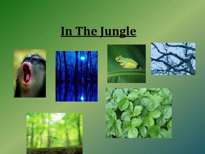 PPT - In The Jungle PowerPoint Presentation, free download - ID:1858035