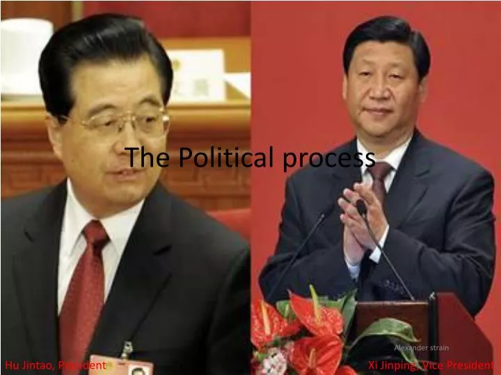 PPT - The Political process PowerPoint Presentation, free download - ID ...