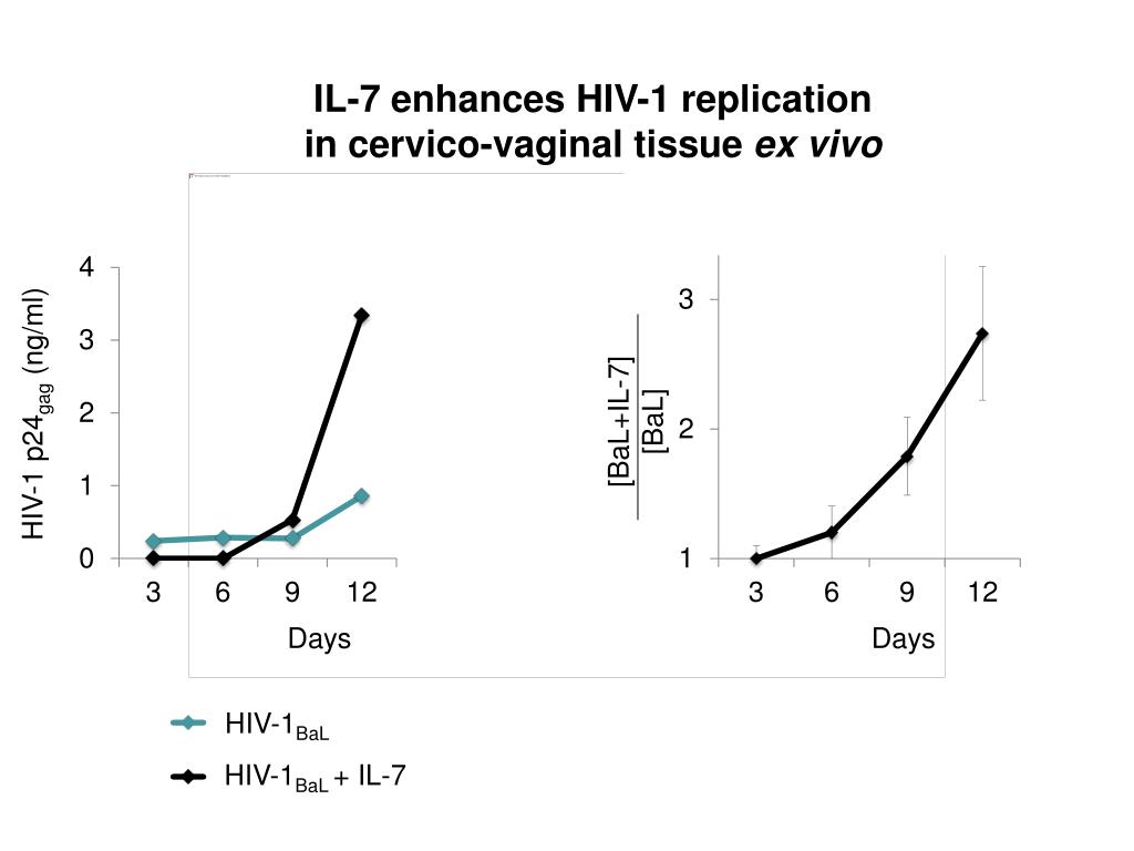 PPT - HIV-1 TRANSMISSION FROM SEMEN TO CERVICO-VAGINAL TISSUE EX VIVO ...