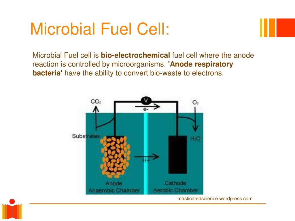 Pptx Microbial Fuel Cells Ppt Dokumen Tips | Hot Sex Picture Pptx Microbial Fuel Cells Ppt Dokumen Tips | Hot Sex Picture