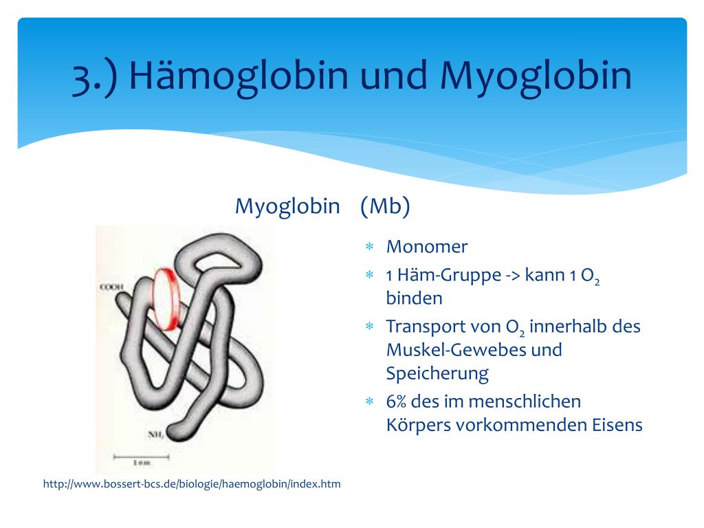 PPT - Sauerstoff Aufnahme, Transport und Speicherung PowerPoint ...