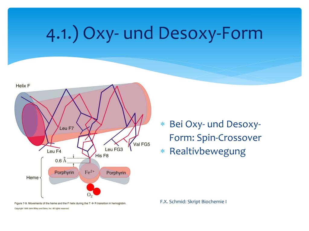 PPT - Sauerstoff Aufnahme, Transport und Speicherung PowerPoint ...