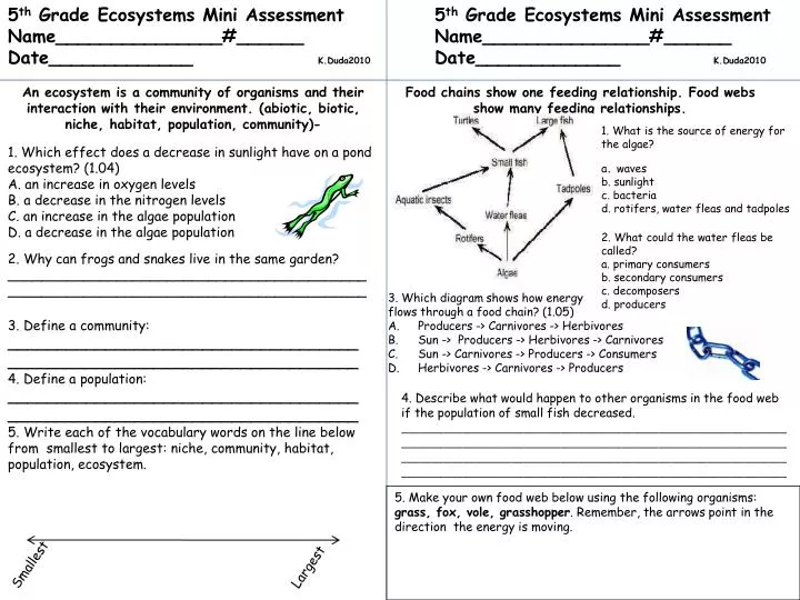 PPT - 5 th Grade Ecosystems Mini Assessment Name ...