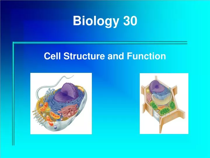 PPT - Biology 30 PowerPoint Presentation, free download - ID:1862187