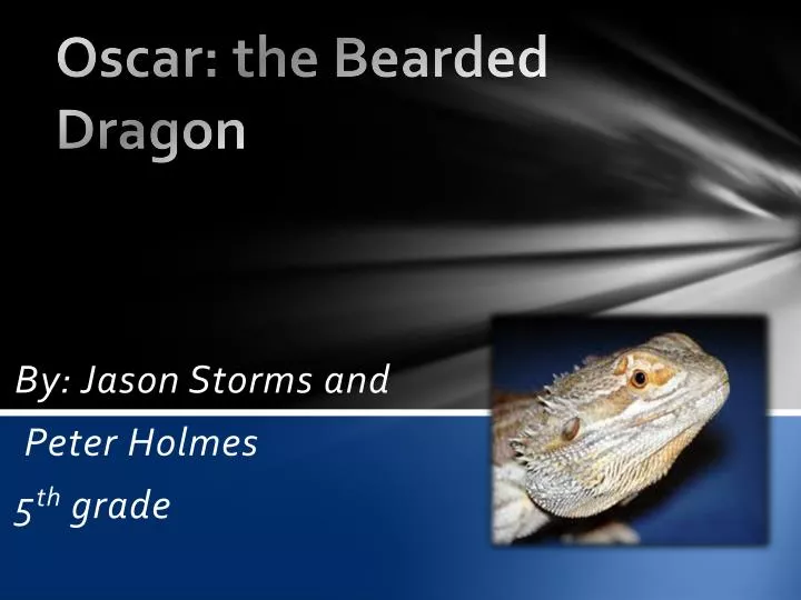 PPT - Oscar: the Bearded Dragon PowerPoint Presentation, free download ...