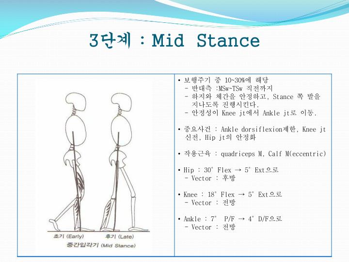 PPT - Analysis of normal gait PowerPoint Presentation - ID:1862308