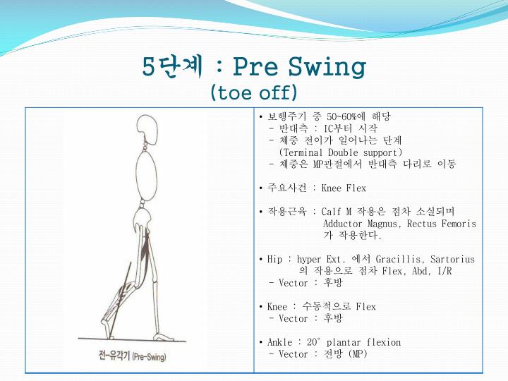 PPT - Analysis of normal gait PowerPoint Presentation - ID:1862308
