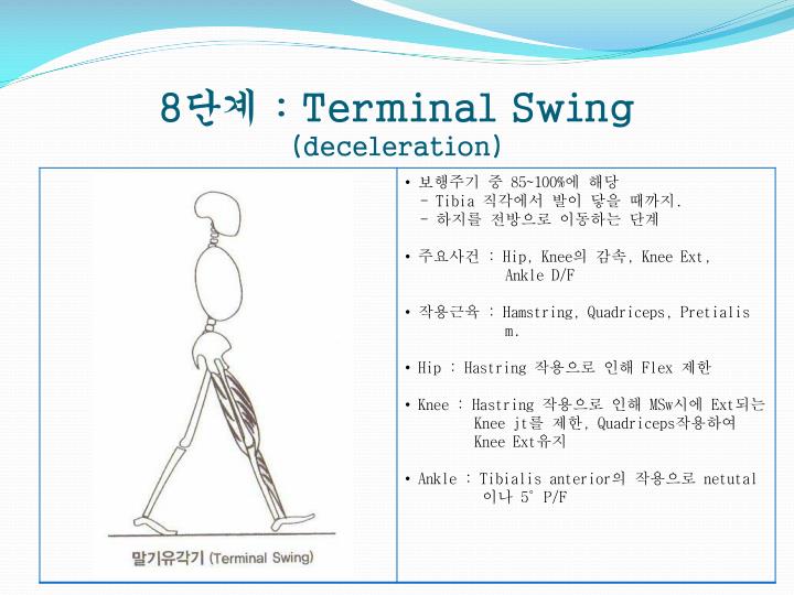 PPT - Analysis of normal gait PowerPoint Presentation - ID:1862308