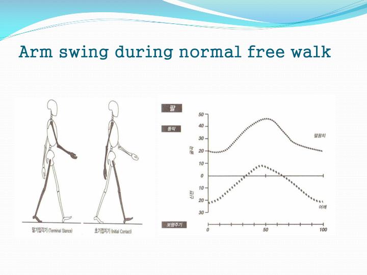 PPT - Analysis of normal gait PowerPoint Presentation - ID:1862308