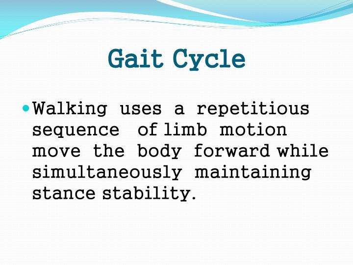 PPT - Analysis of normal gait PowerPoint Presentation - ID:1862308