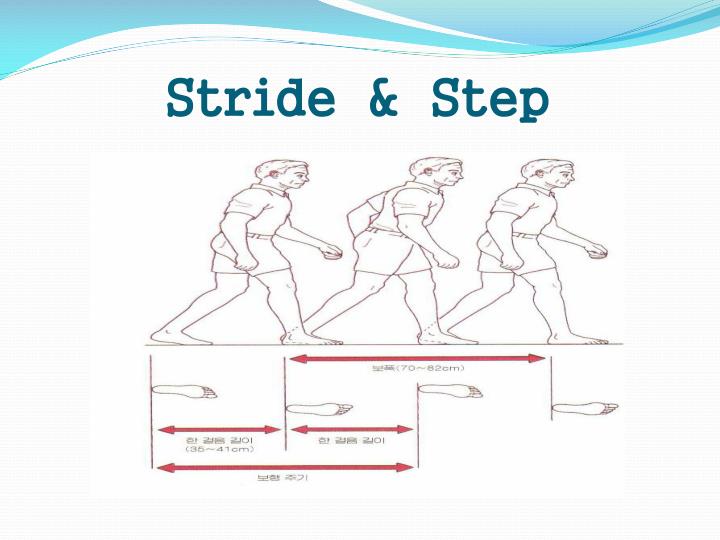 Ppt Analysis Of Normal Gait Powerpoint Presentation Id 1862308
