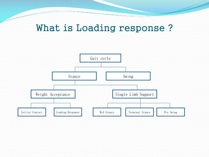 PPT - Analysis of normal gait PowerPoint Presentation - ID:1862308