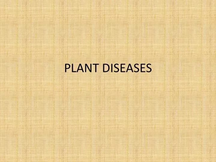 PPT - PLANT DISEASES PowerPoint Presentation, free download - ID:1862653