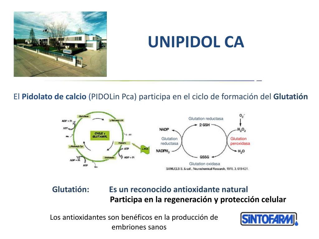 PPT - 1. Resultados experimentales en gallinas ponedoras PowerPoint ...