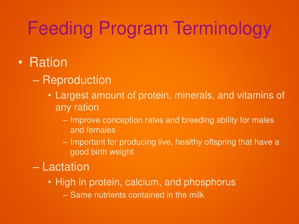 PPT - Small Animal and Exotic Nutrition PowerPoint Presentation, free ...