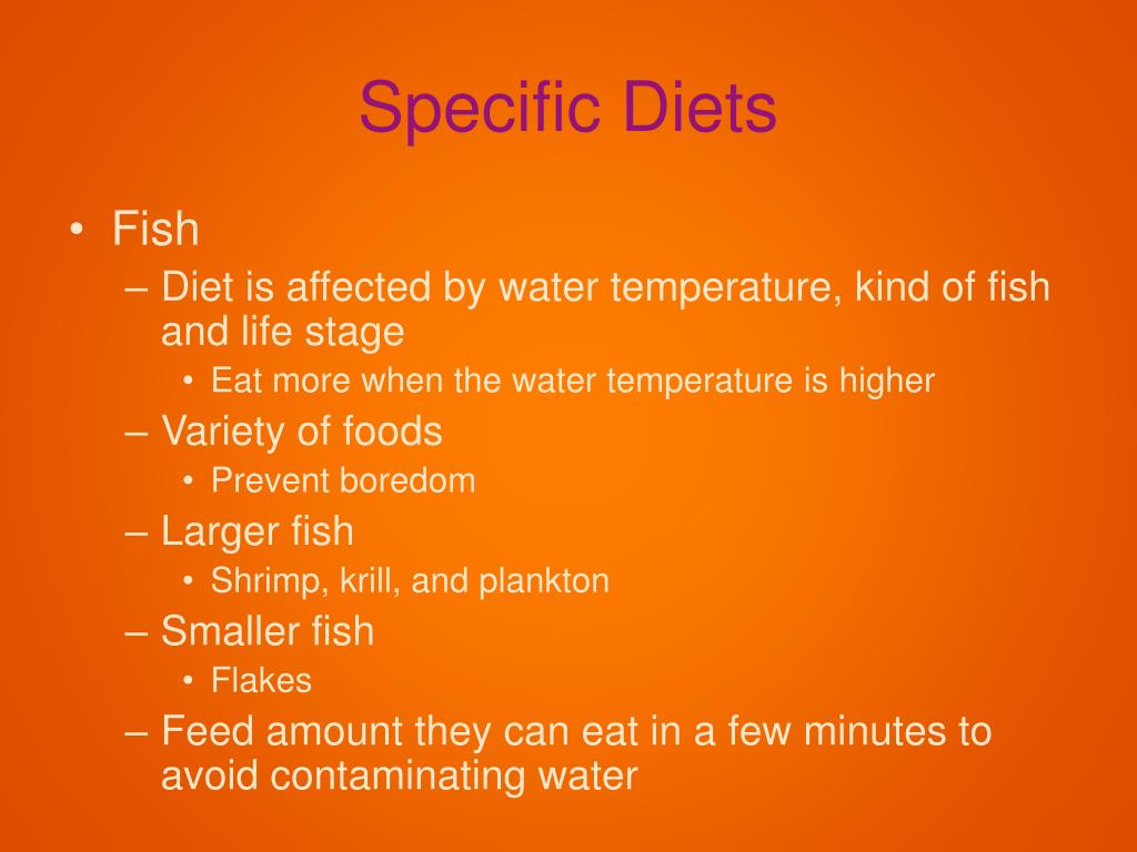 PPT - Small Animal and Exotic Nutrition PowerPoint Presentation, free ...