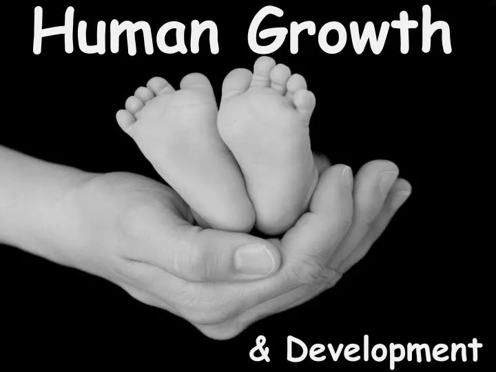 PPT - Human Growth PowerPoint Presentation, free download - ID:1862995