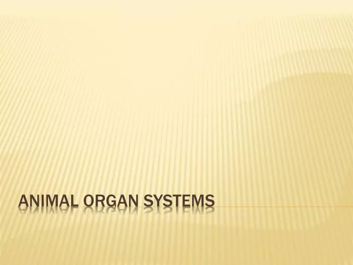 PPT - Animal Organ Systems PowerPoint Presentation, free download - ID ...