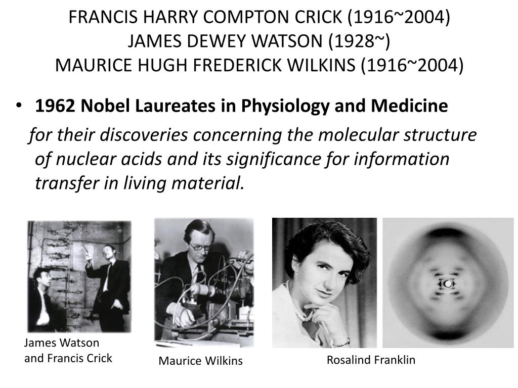 PPT - Viry studované v Laboratoři strukturní virologie : pikornaviry ...