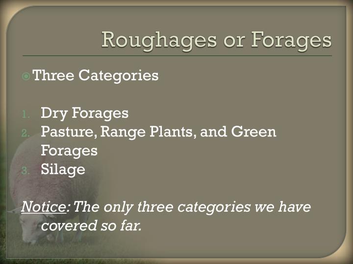 PPT - Feedstuff Classification PowerPoint Presentation - ID:1863321