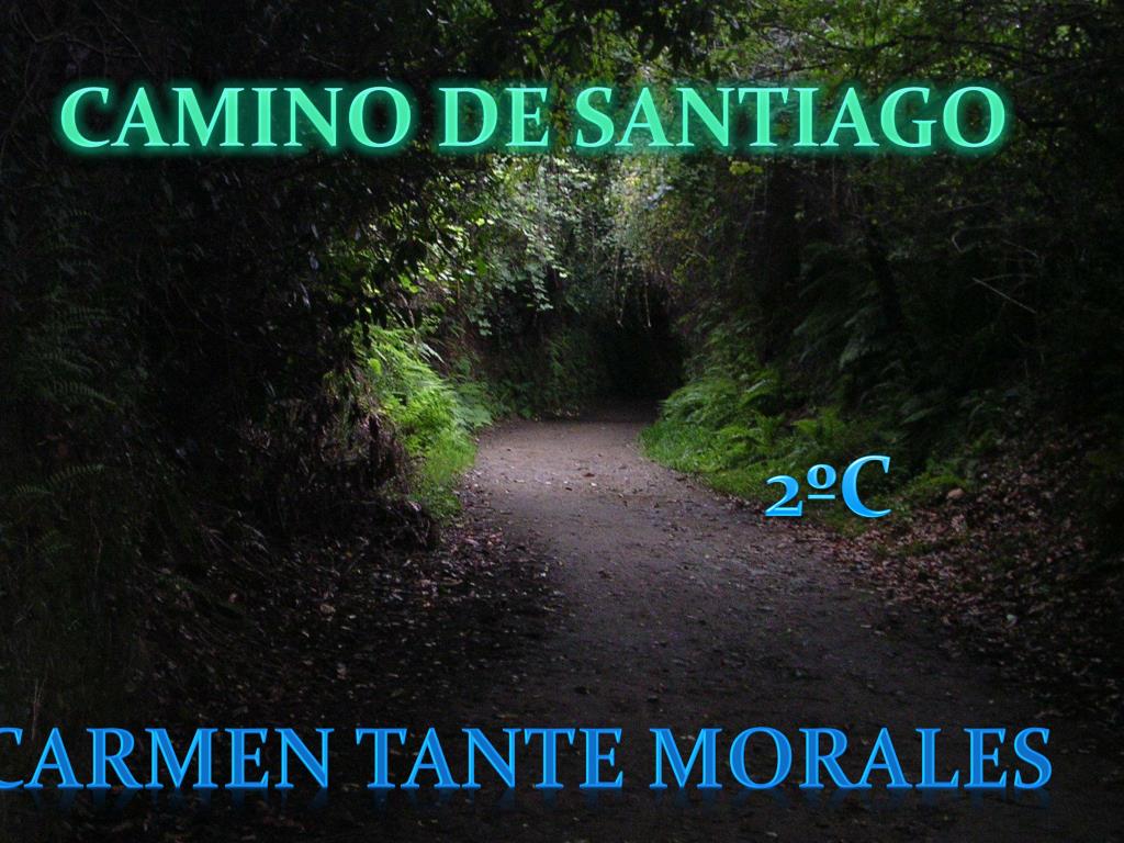 PPT - CAMINO DE SANTIAGO PowerPoint Presentation, free download - ID ...