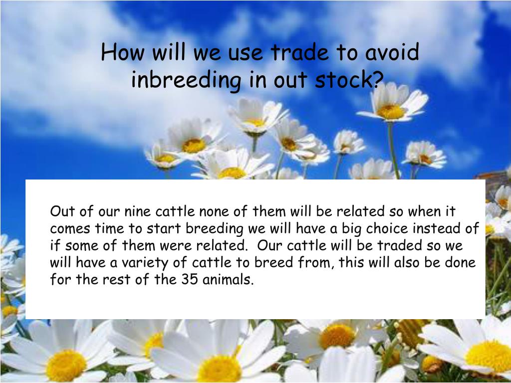 PPT - Green Dollars/ trading with animal goods. PowerPoint Presentation ...