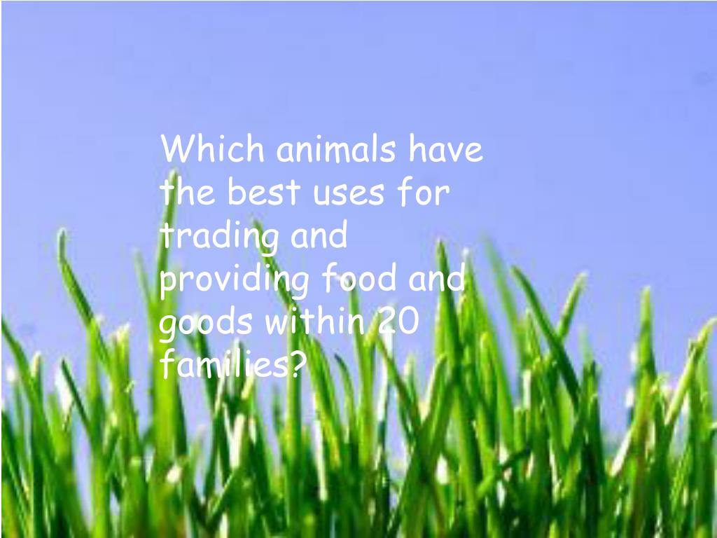 PPT - Green Dollars/ trading with animal goods. PowerPoint Presentation ...