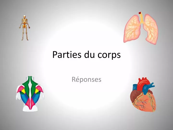 PPT - Parties du corps PowerPoint Presentation, free download - ID:1863502