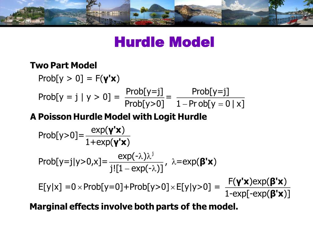 PPT - William Greene Department of Economics Stern School of Business ...