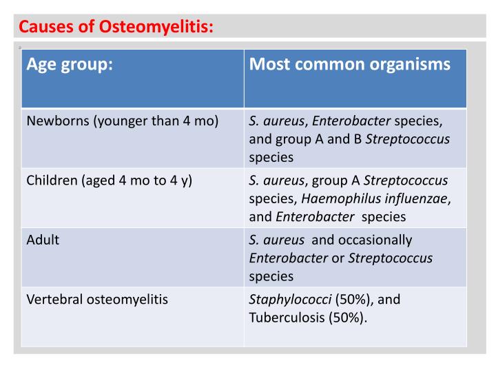 PPT - Infectious Myositis: PowerPoint Presentation - ID:1865298