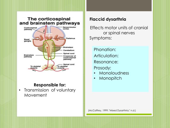 PPT - Functional neuroanatomy of language and its disorders PowerPoint ...