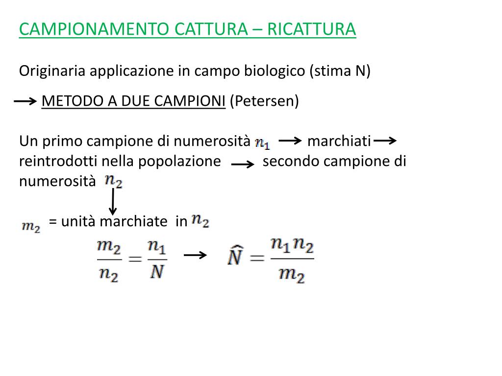 PPT - TECNICHE DI CAMPIONAMENTO DI POPOLAZIONI RARE O IN MANCANZA DI ...