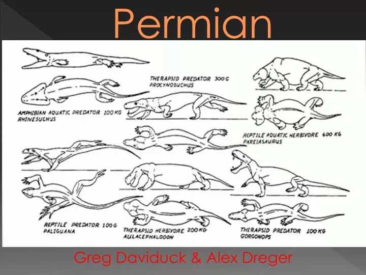 PPT - Permian PowerPoint Presentation, free download - ID:1866160