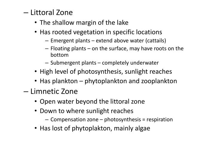 PPT - 9.2 Lake Ecosystem PowerPoint Presentation - ID:1866286
