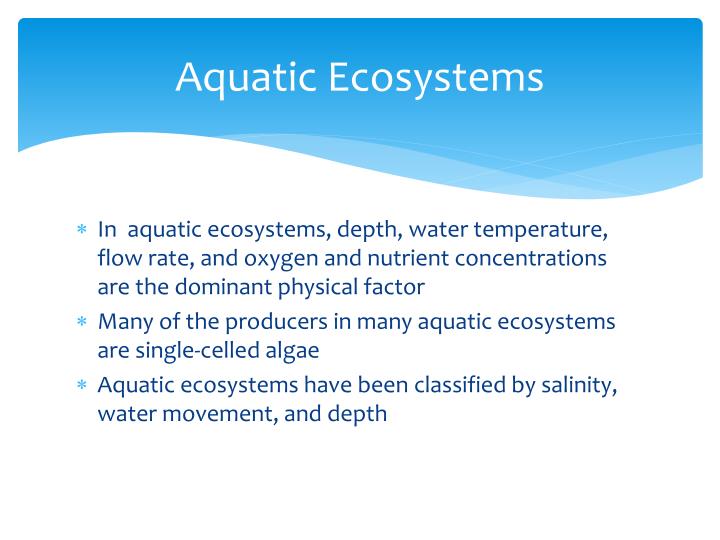 PPT - Aquatic Ecosystems PowerPoint Presentation - ID:1866324