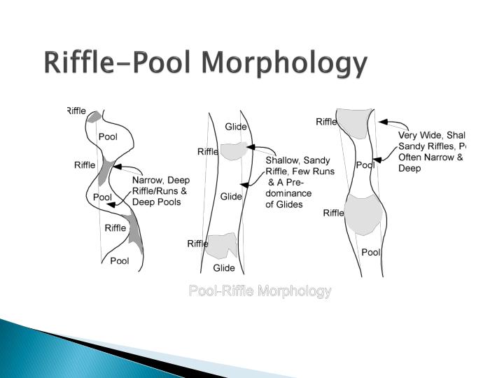 PPT - Poor/Glide and Riffle/Run PowerPoint Presentation - ID:1866339