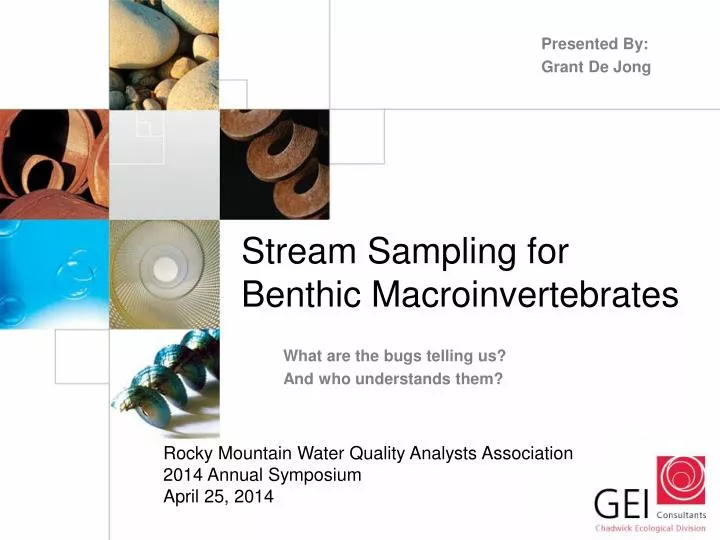 PPT - Stream Sampling for Benthic Macroinvertebrates PowerPoint ...