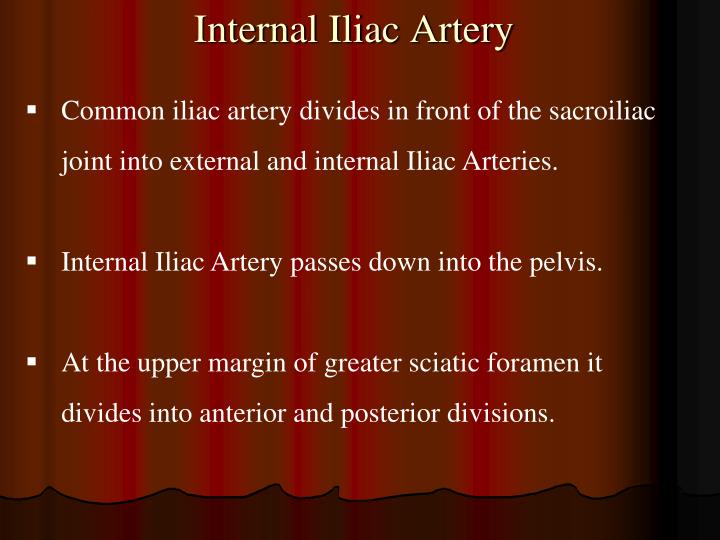 PPT - Pelvic Vessels and Nerves PowerPoint Presentation - ID:1866807