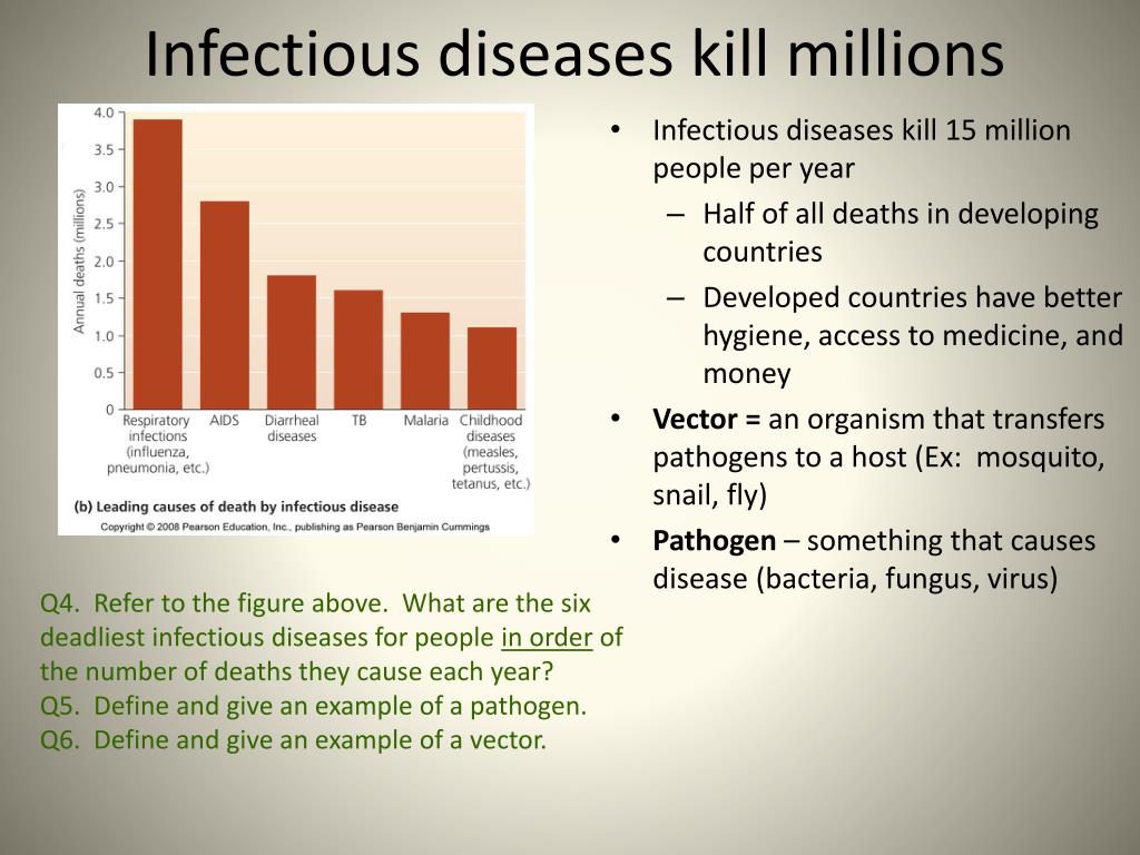 Ppt Infectious Diseases Chapter 20 Section 2 Powerpoint Presentation
